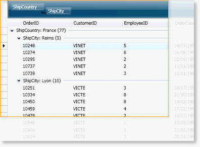 Grouping Data | Xceed UI Technologies for .NET